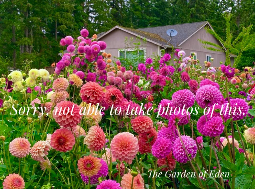 Emory Paul – The Garden of Eden